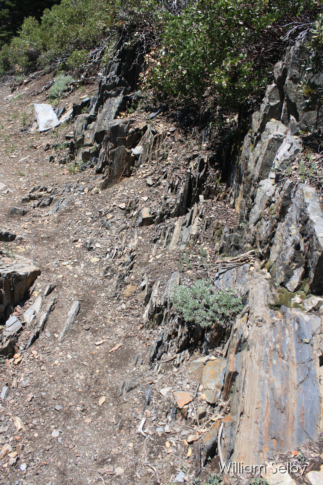 Geologic History in Sierra Nevada Gold Country - Rediscovering the ...