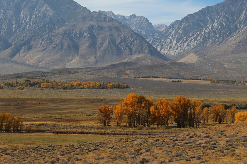Natural History of a Grain of Sand – Rediscovering the Golden State