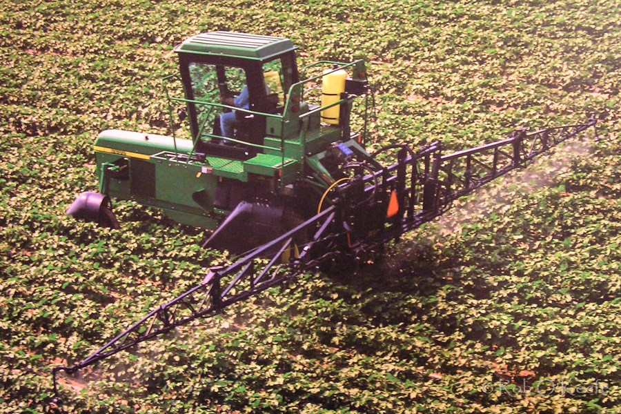 California Burning, 2020 – Rediscovering the Golden State