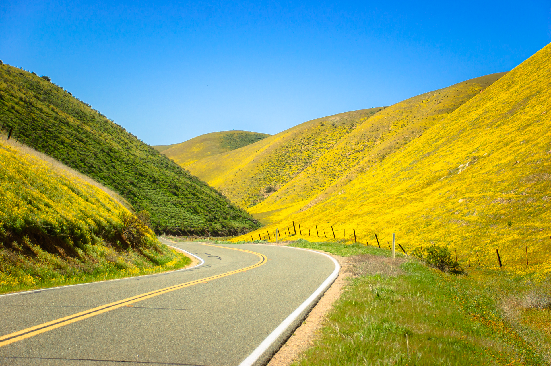 Chapter 1: Getting to Know the Golden State - Rediscovering the Golden ...