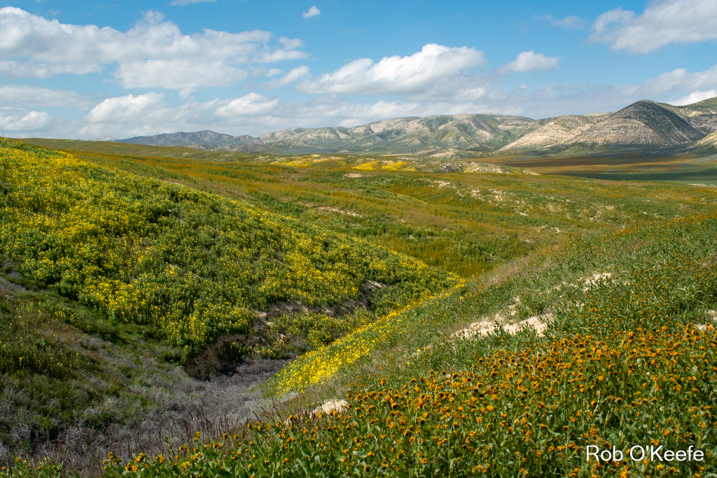 Rediscovering the Golden State – California Geography