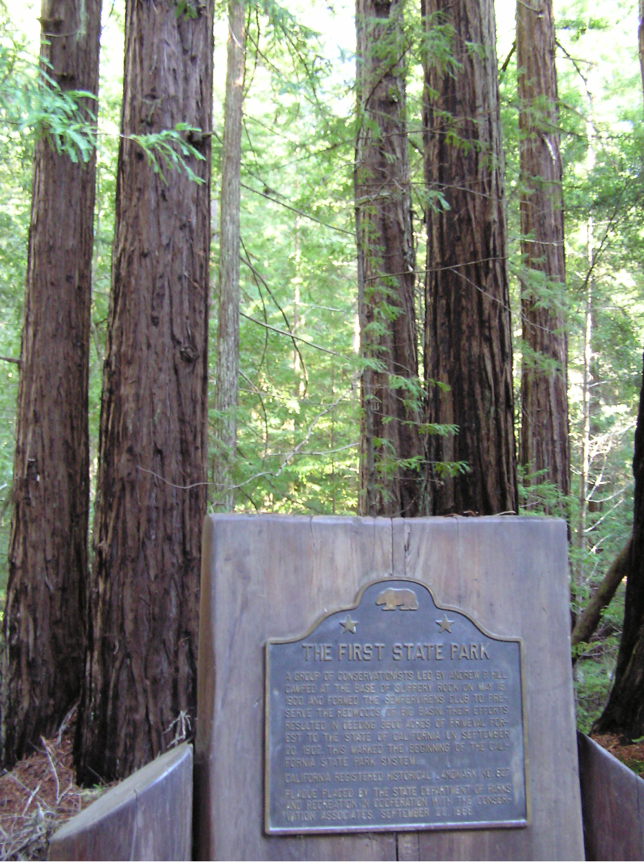 Fire in the Redwoods - Rediscovering the Golden State